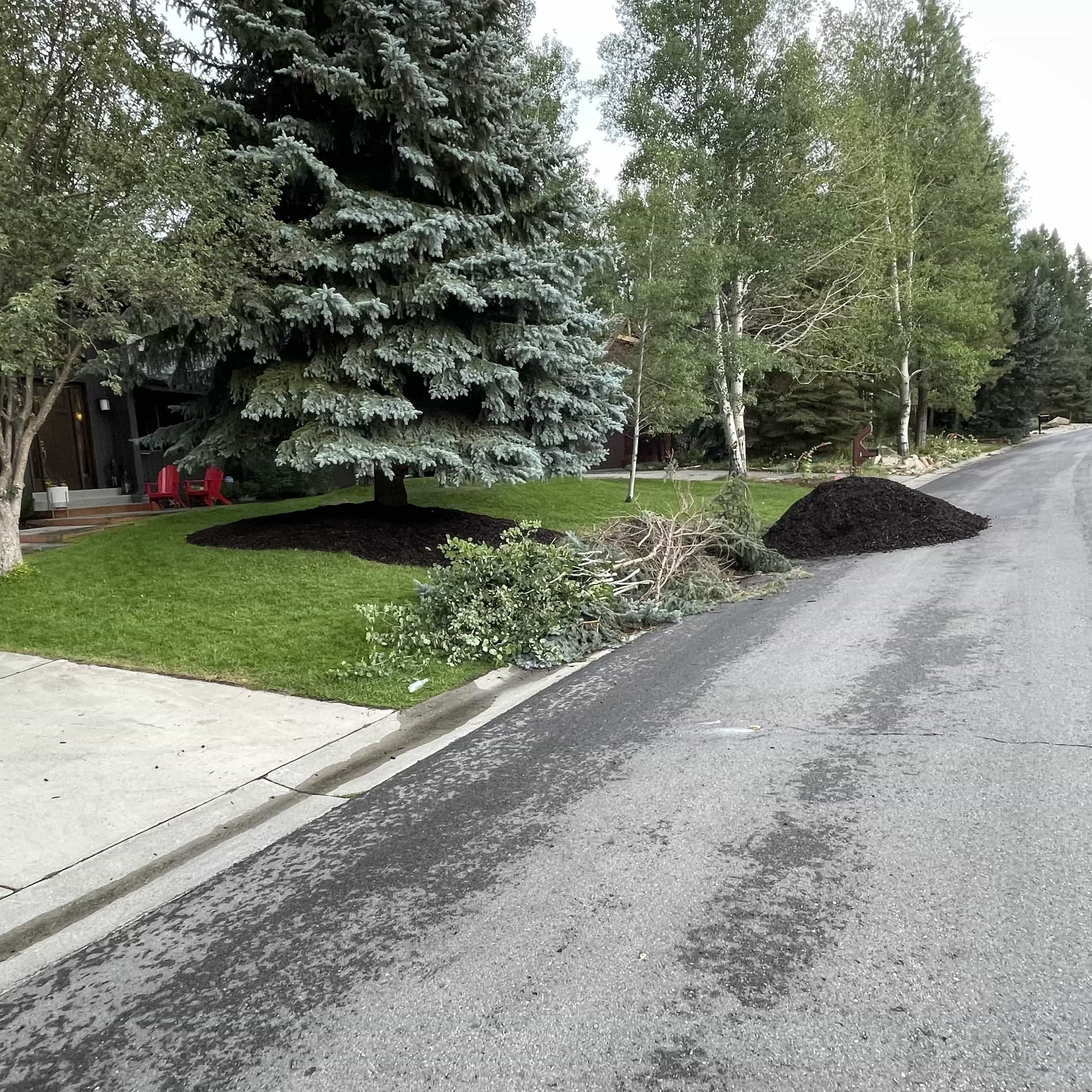 Spring & Fall Cleanup - SKAPEWORX